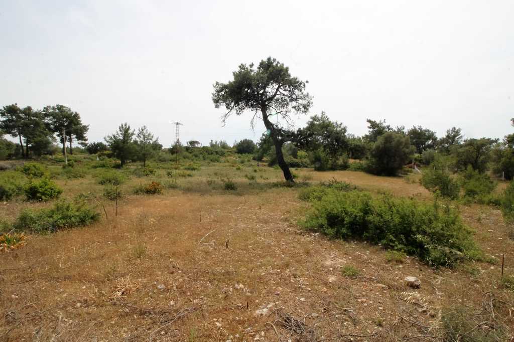Buy land for sale in Turkey | Turkey land for sale - Turkey Homes